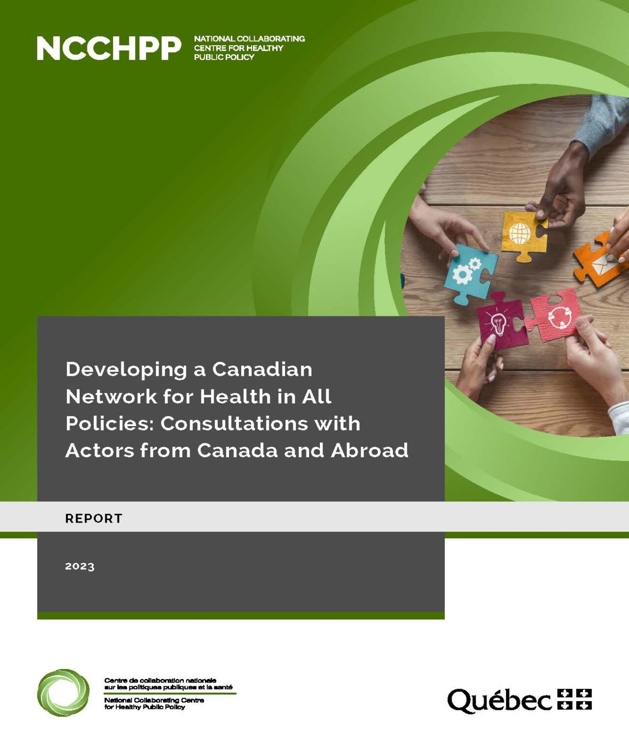 Developing a Canadian Network for Health in All Policies: Consultations ...
