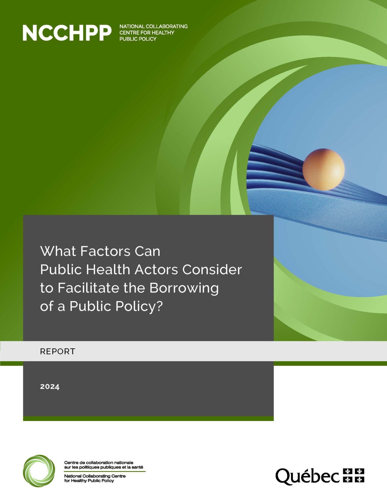 What Factors Can Public Health Actors Consider to Facilitate the Borrowing of a Public Policy ...